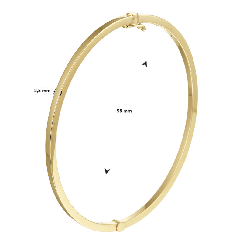 Zilgold bangle met scharniersluiting vlakke buis 2.5 mm | Mostert Juweliers