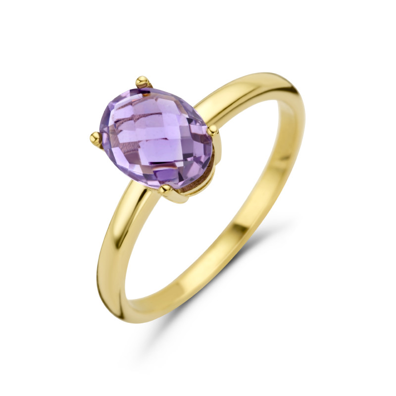 Gouden edelsteen ring met amethist 0.23 crt | Mostert Juweliers
